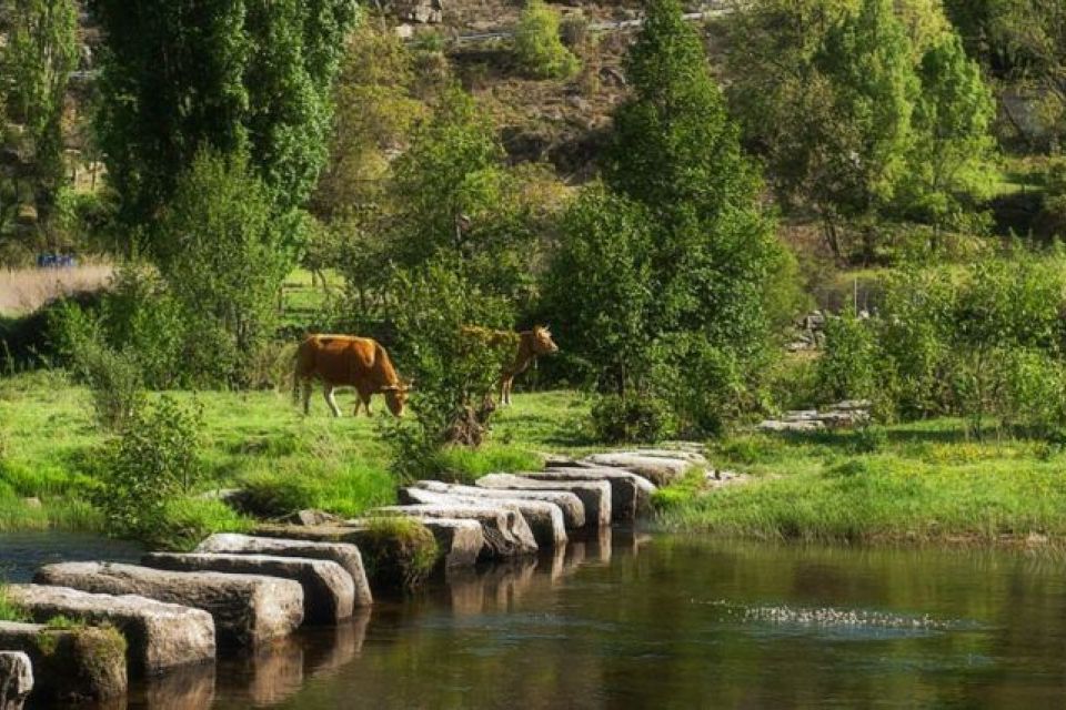 Rio Cofio – Santa Maria de la Alameda
